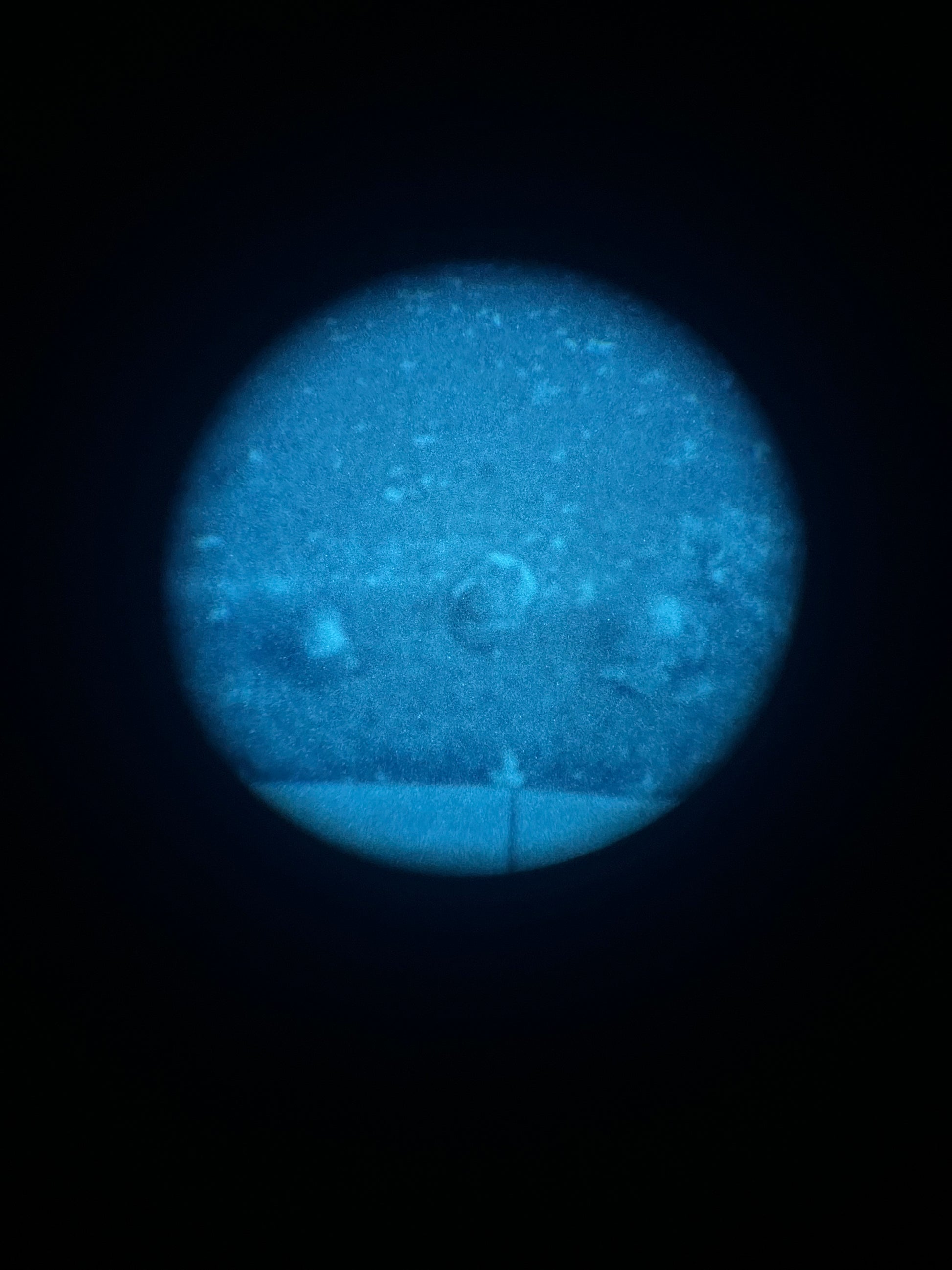 EMR (Digiflora) Cap – Cup Of Joe Supply